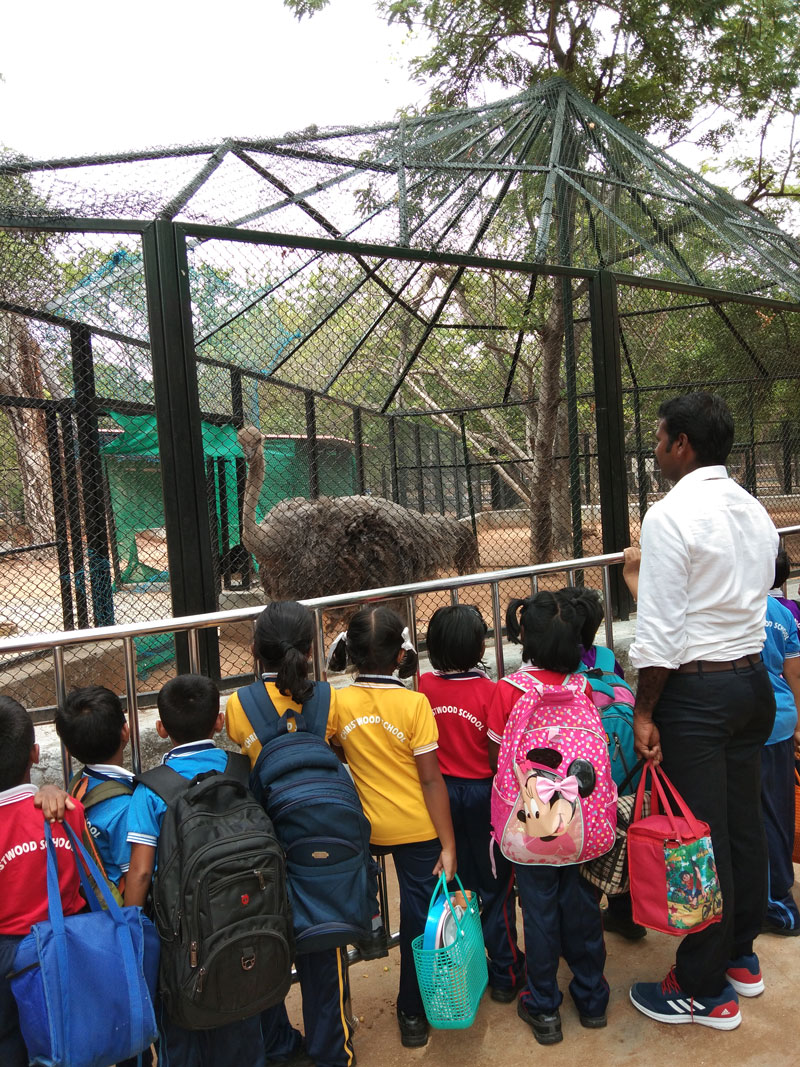Visit to Guindy park